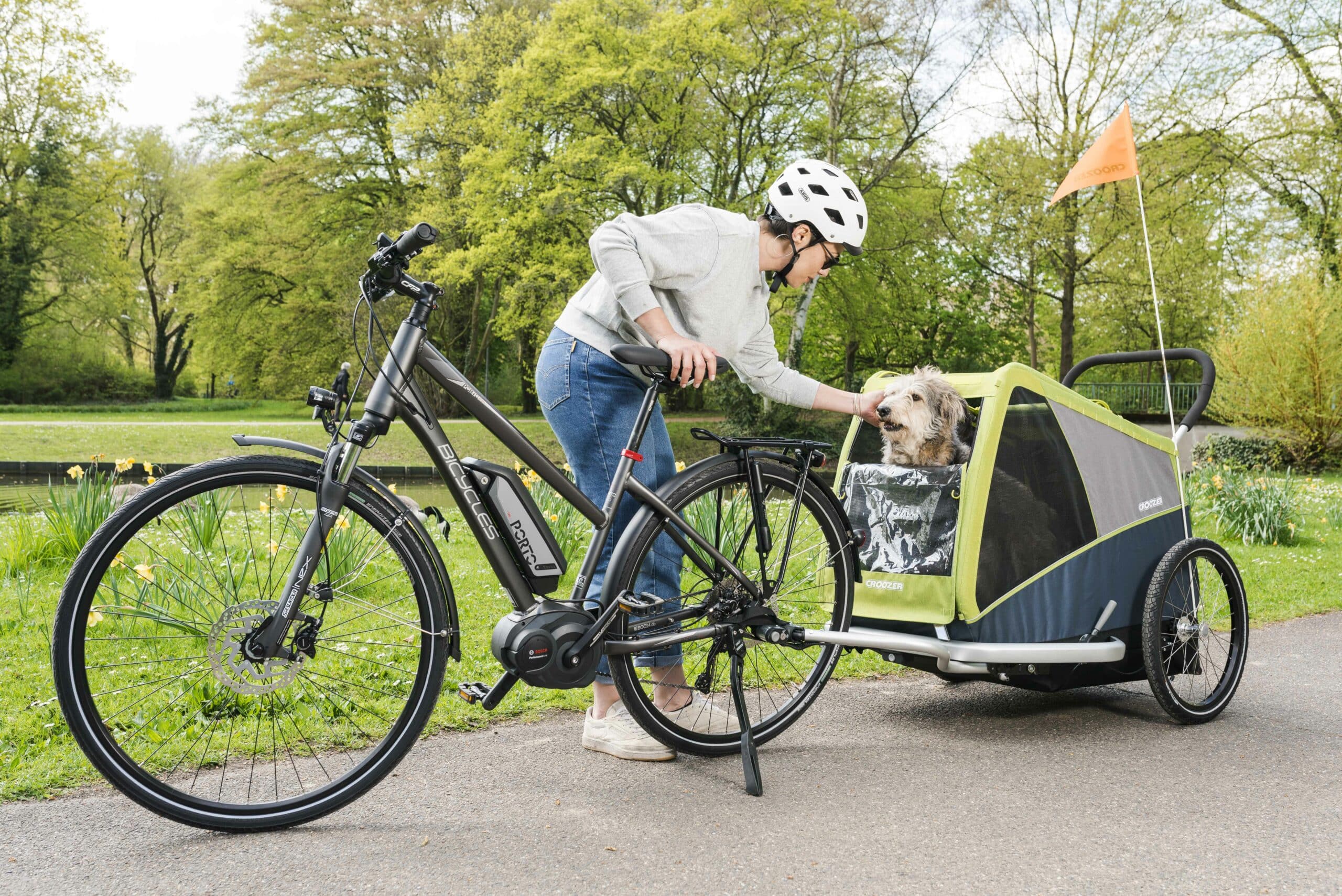 Croozer Dog XXL Bruuno hondenkar - Fietskar.nl